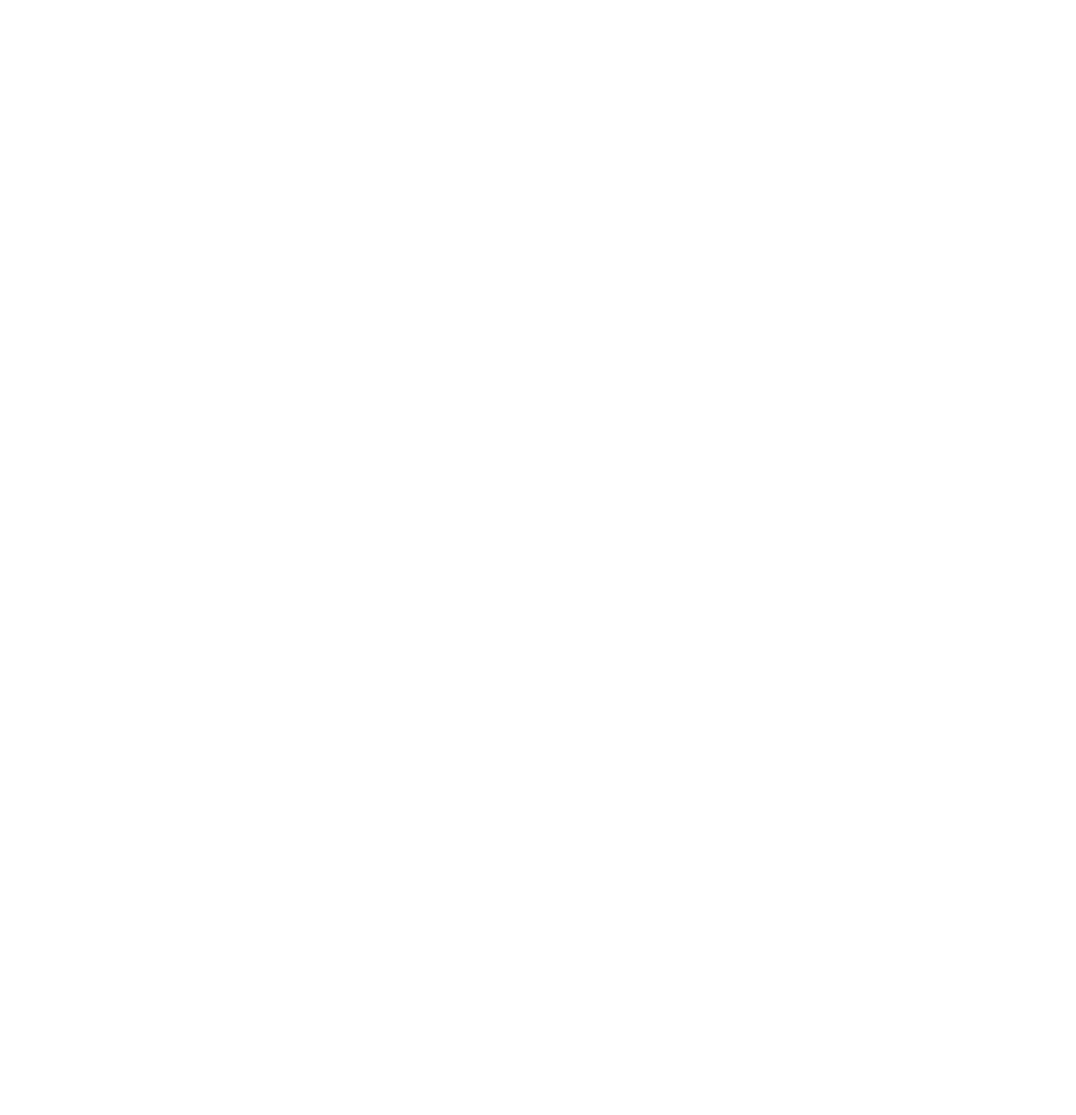 THE HISTORY – ORIGINAL CREATION SINCE 1952